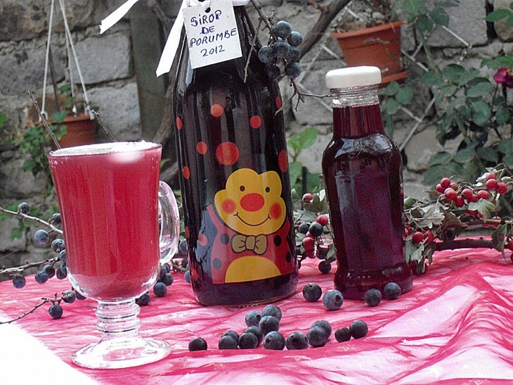 Sirop de porumbele | Retetele Tale